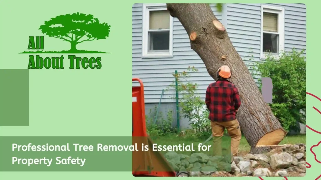Professional Tree Removal is Essential for Property Safety